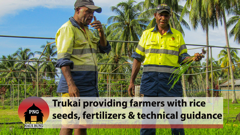 KARKAR ISLAND IS TRUKAI'S 1ST TRAINED IRRIGATED RICE FARMER
